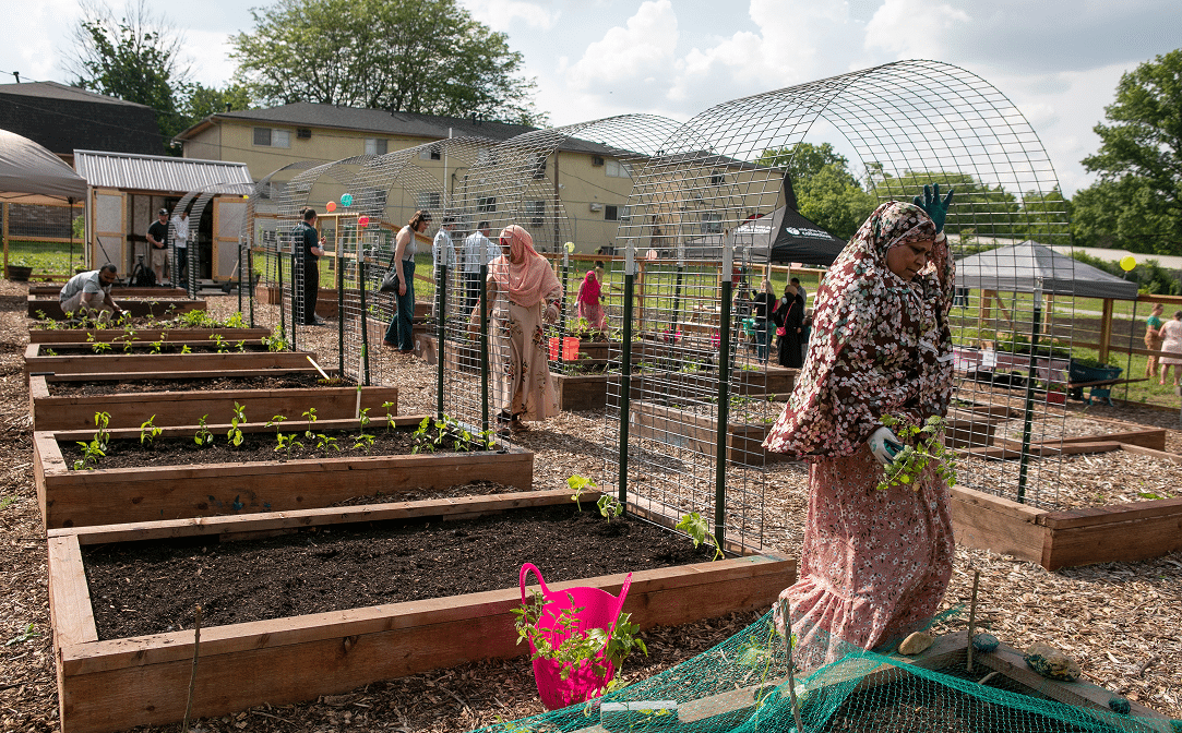 Mid-Ohio Farm | MOFC